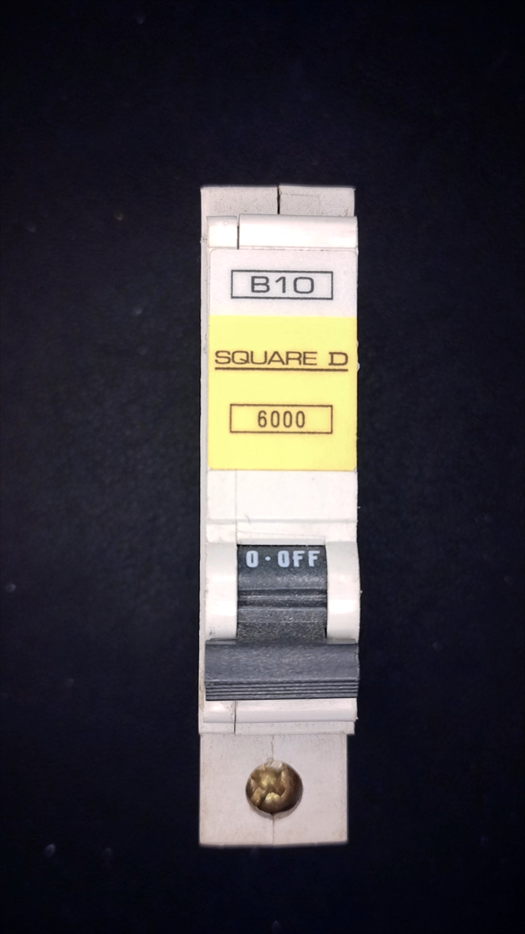 B10 Square D QOE Band 6000 B10 10A MCB Circuit Breaker Type B (10 Amp ...